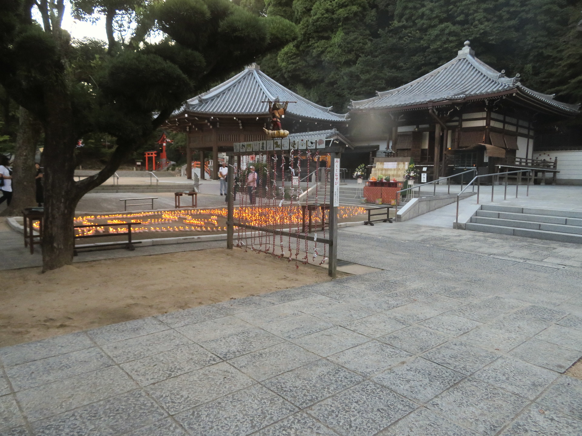 須磨寺みあかり観音灯明会: 日常雑感