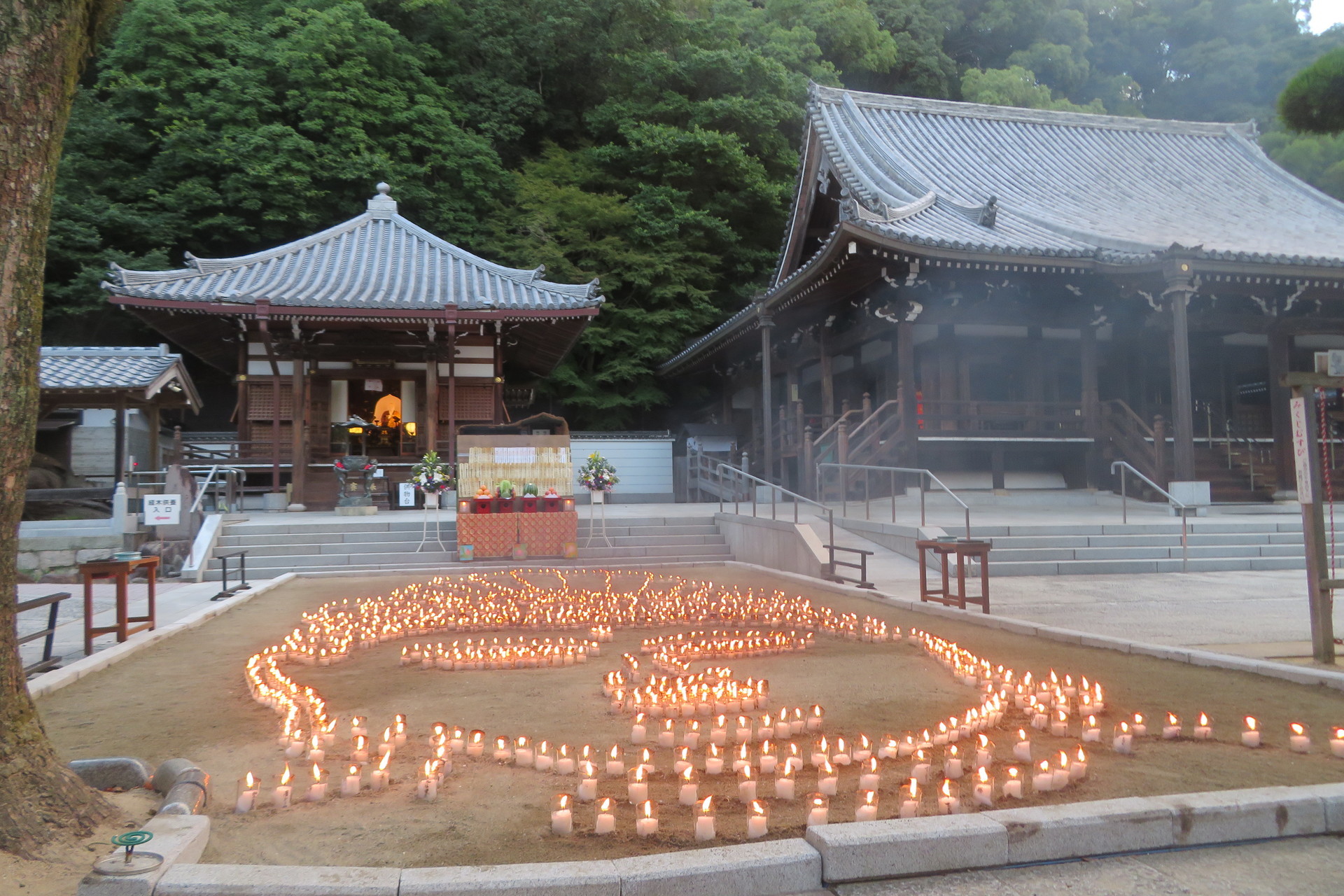 須磨寺みあかり観音灯明会: 日常雑感