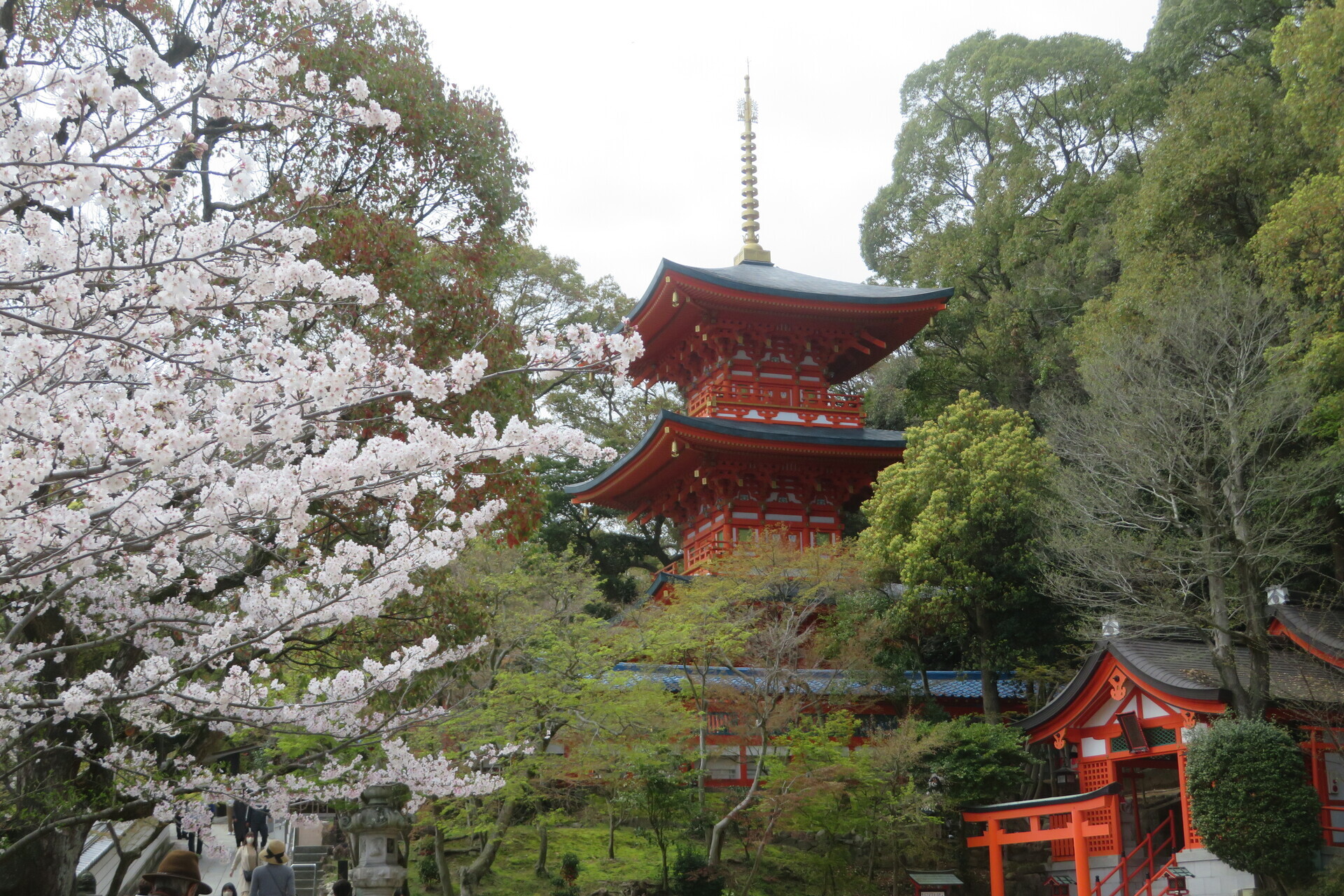 須磨寺灌仏会: 日常雑感